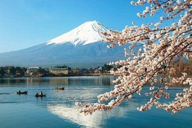 Excursión a Hakone y el Monte Fuji 🗻 Tour desde Tokio ️