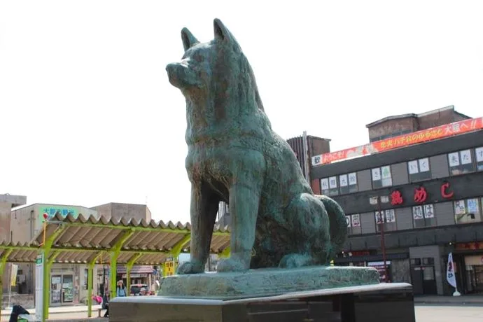Estatua Real De Hachiko