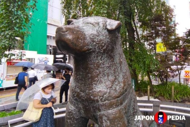Visitar la Estatua de Hachiko, Shibuya (Tokio) El Perro Fiel 🐕