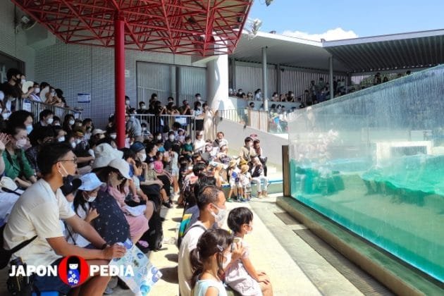Acuario de Shinagawa (Tokio)🐬 Que Ver y Precios 2026 ️