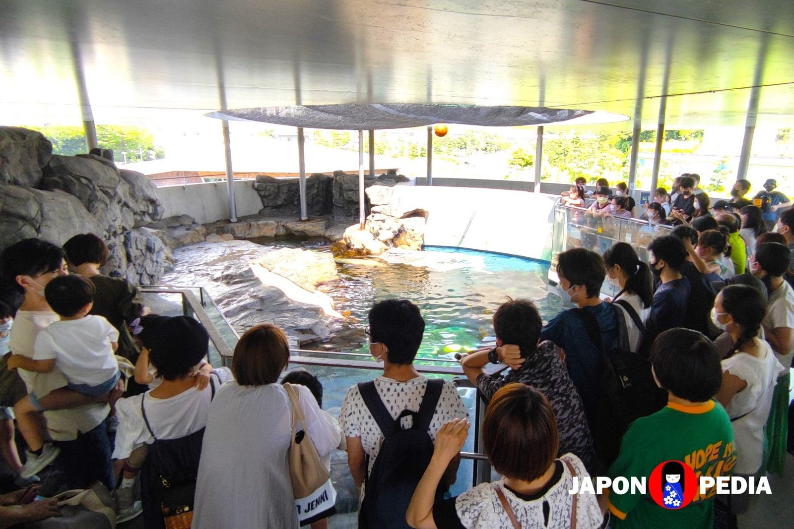 Acuario de Shinagawa (Tokio)🐬 Que Ver y Precios 2026 ️